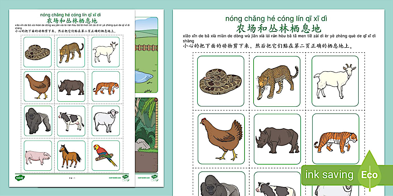 * Chinese with Pinyin Farm and Jungle Habitats Activity*