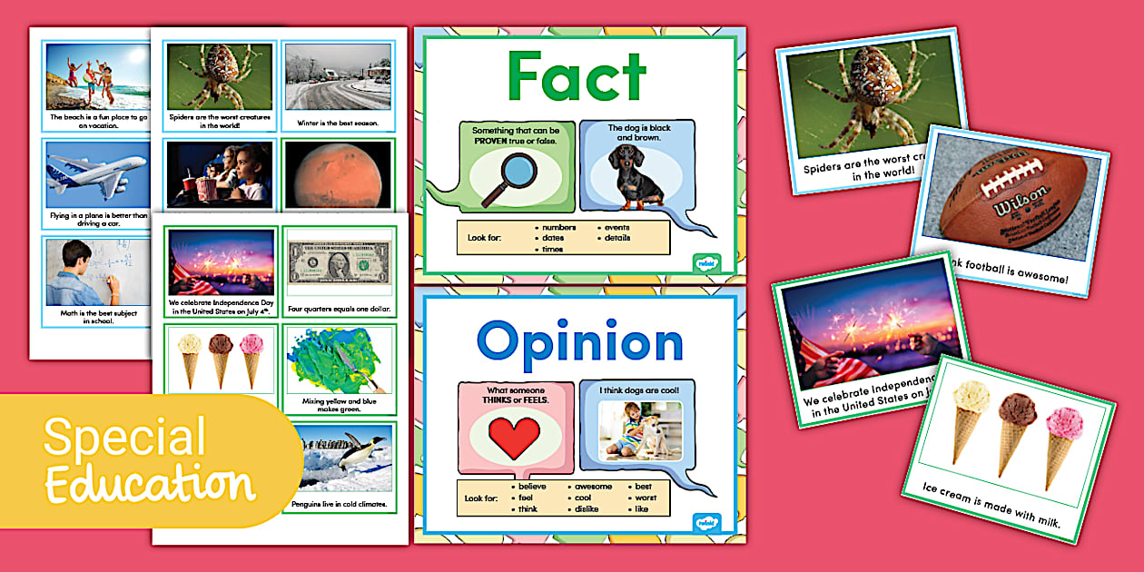 Fact and Opinion Sorting Worksheet for Older Learners