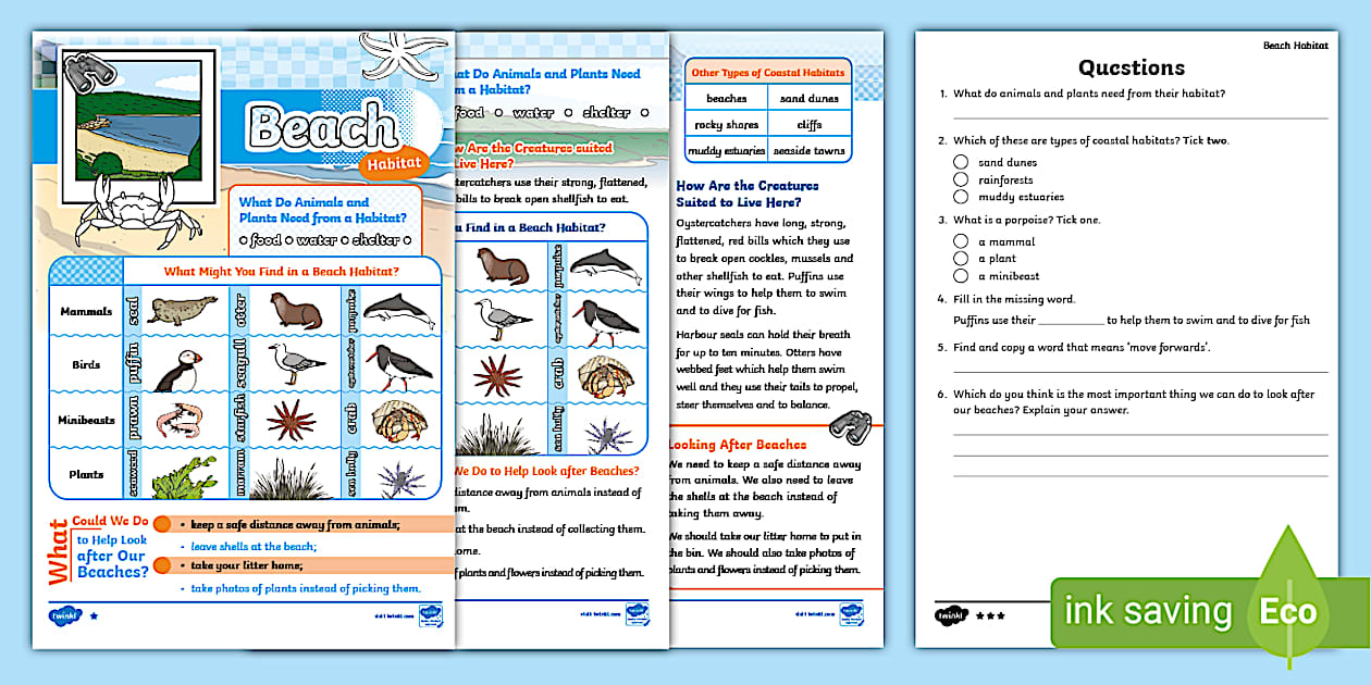 Editable KS1 Beach Habitats Reading Comprehension Activity