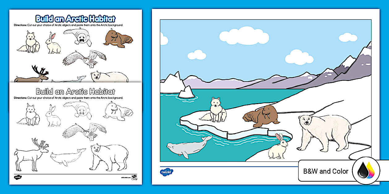 Build an Arctic Habitat Cut and Paste Worksheet - Twinkl