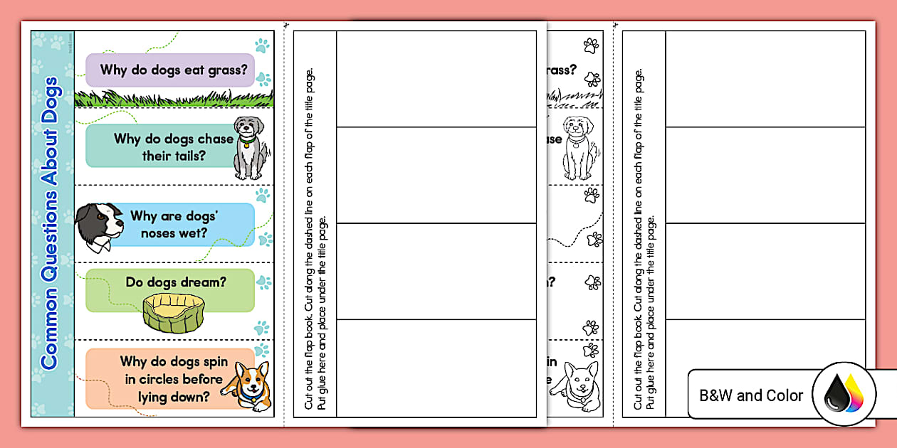 Common Questions About Dogs Flap Book | Twinkl USA - Twinkl