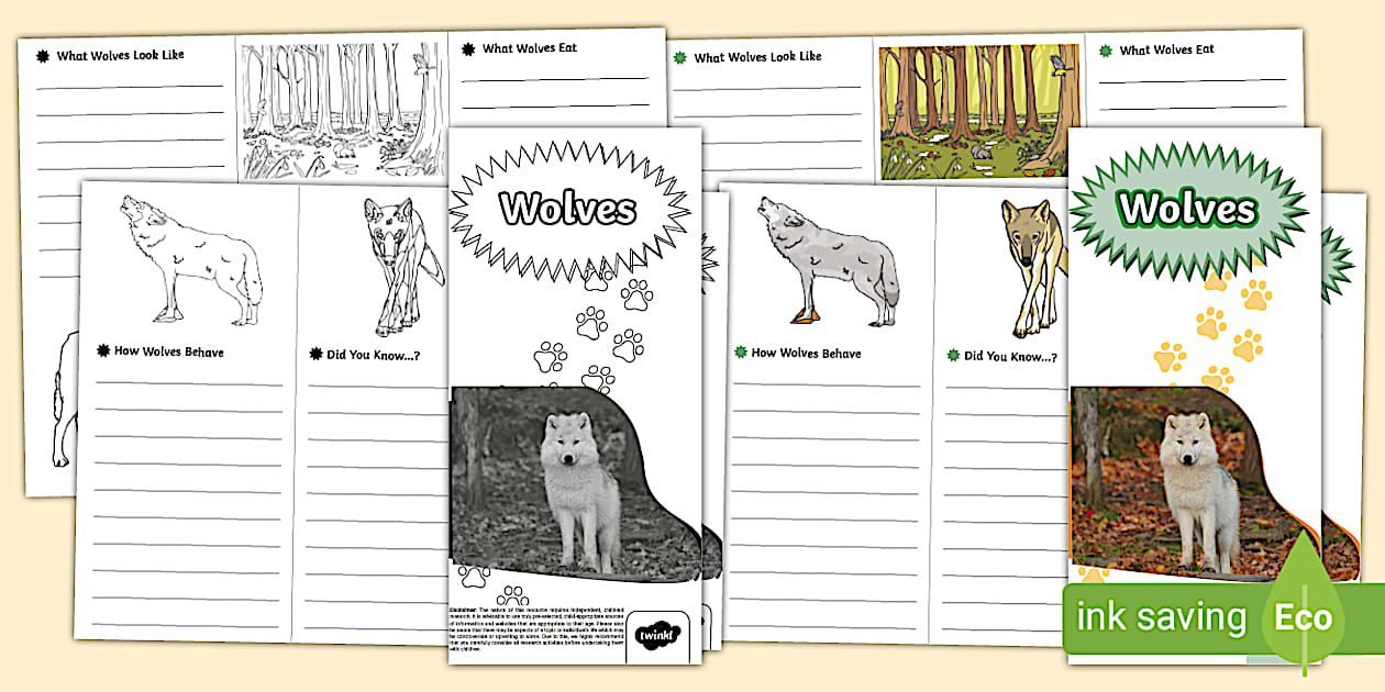 Wolves Leaflet Template (teacher made) - Twinkl