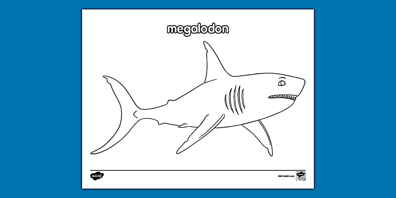 Megalodon Coloring Sheet (teacher made) - Twinkl