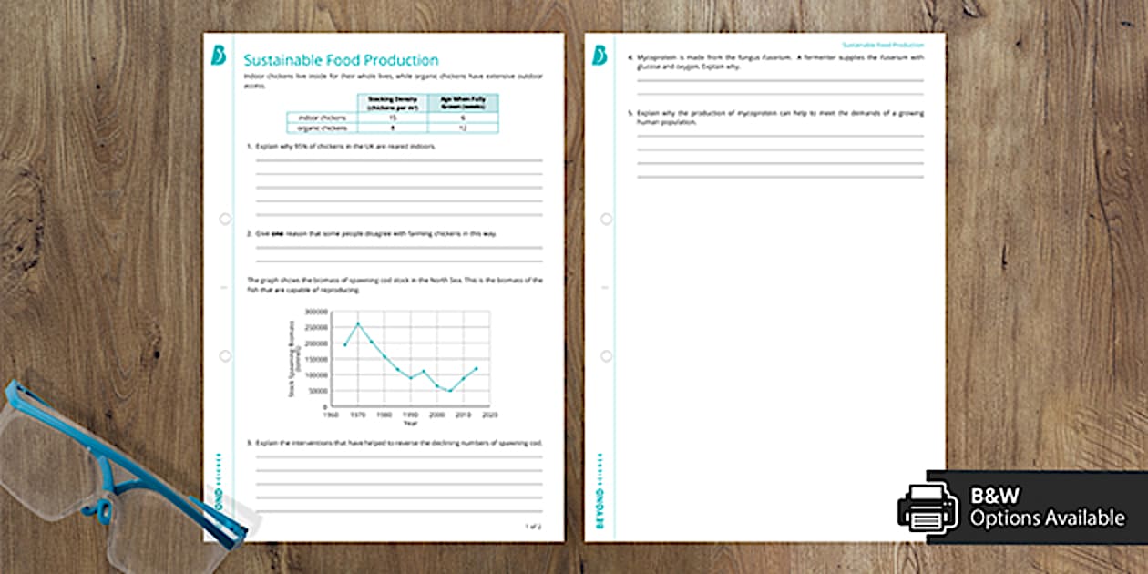 Sustainable Food Production Worksheet | Ecology | Beyond