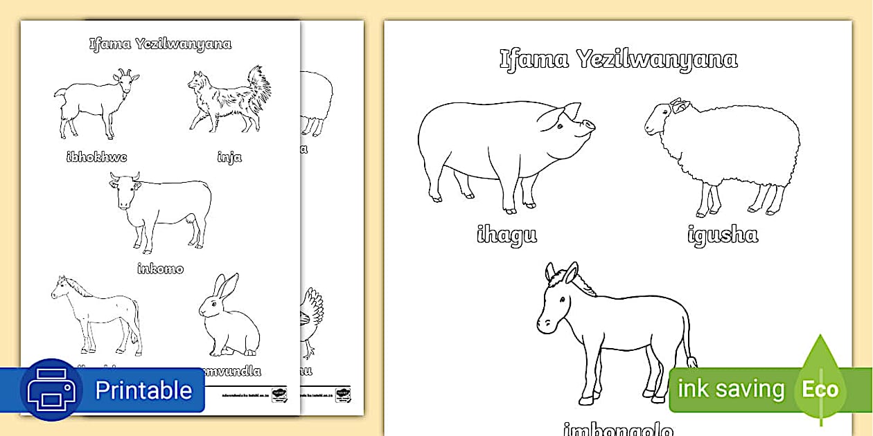 Izilwanyana zasendle - Farm Animals Colouring Pages isiXhosa