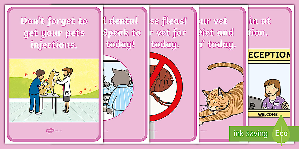 The Vets Aistear Role Play Display Posters (Teacher-Made)