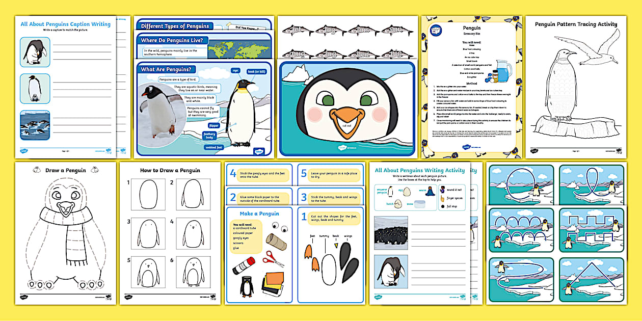 All About Penguins Activities Resource Pack | Twinkl