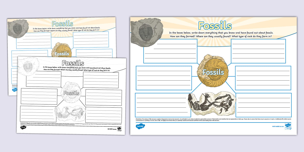 Fossils Mind Map (teacher made) - Twinkl