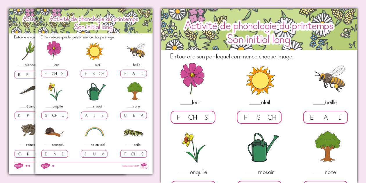 Phonologie de printemps : son initial long et court - Twinkl