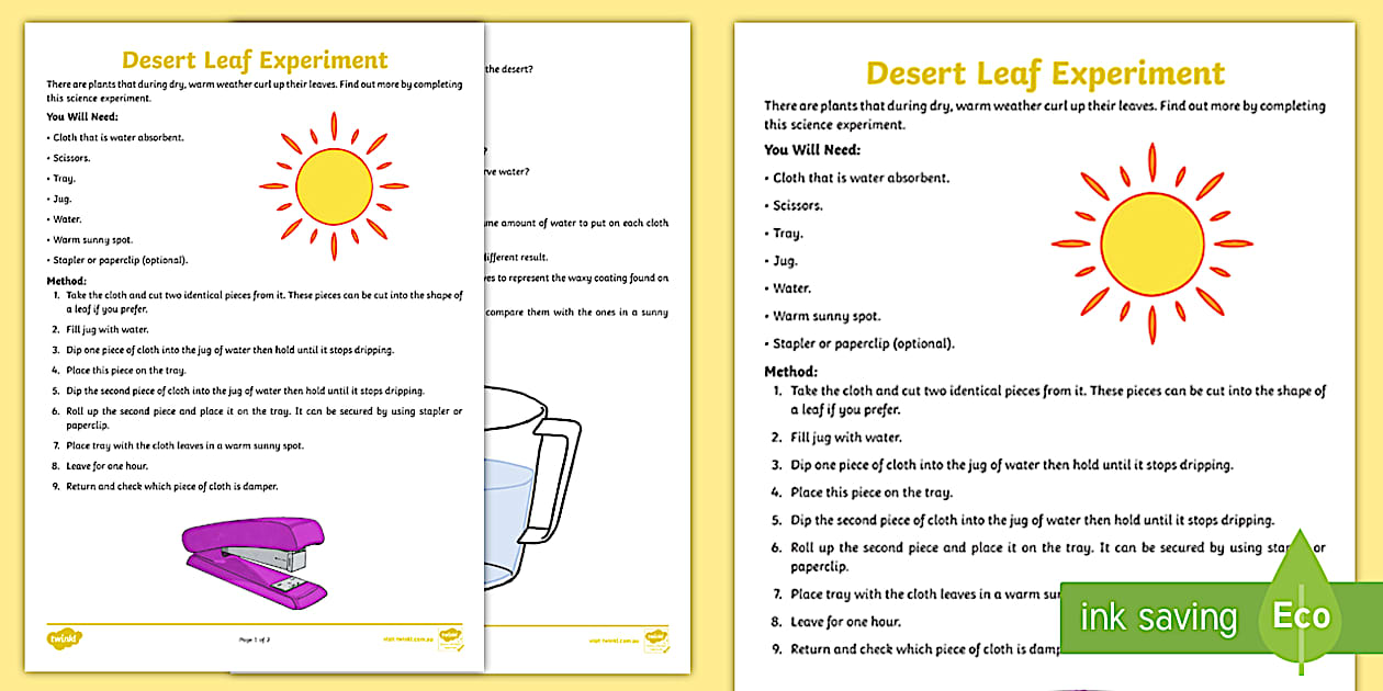 Black and White Leaf Curl Science Experiment - Twinkl