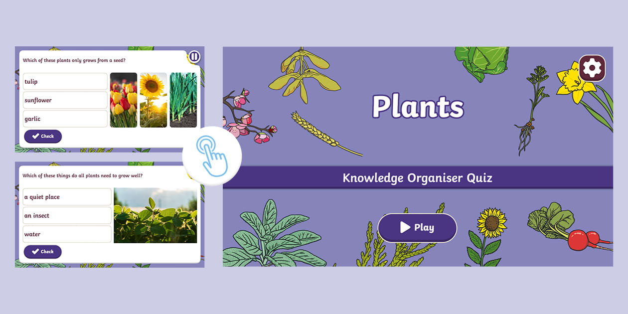 Retrieval Practice: Science: Plants: Year 2 Interactive Quiz