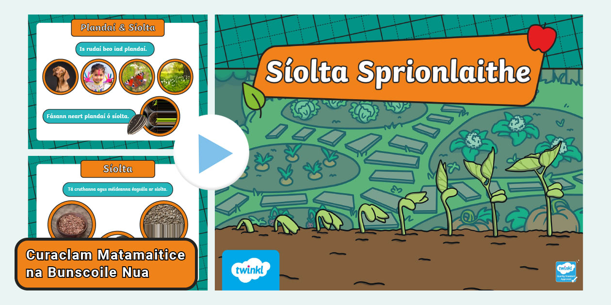 Sprouting seeds Gaeilge (teacher made) - Twinkl