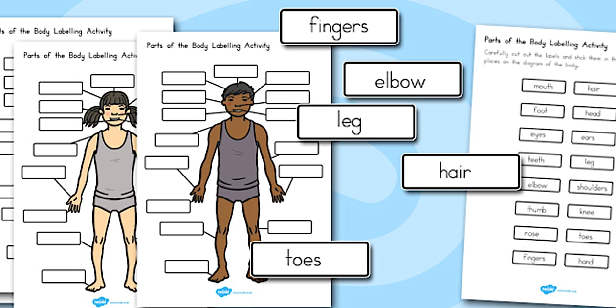 Editable Body Parts Labelling Activity - Twinkl