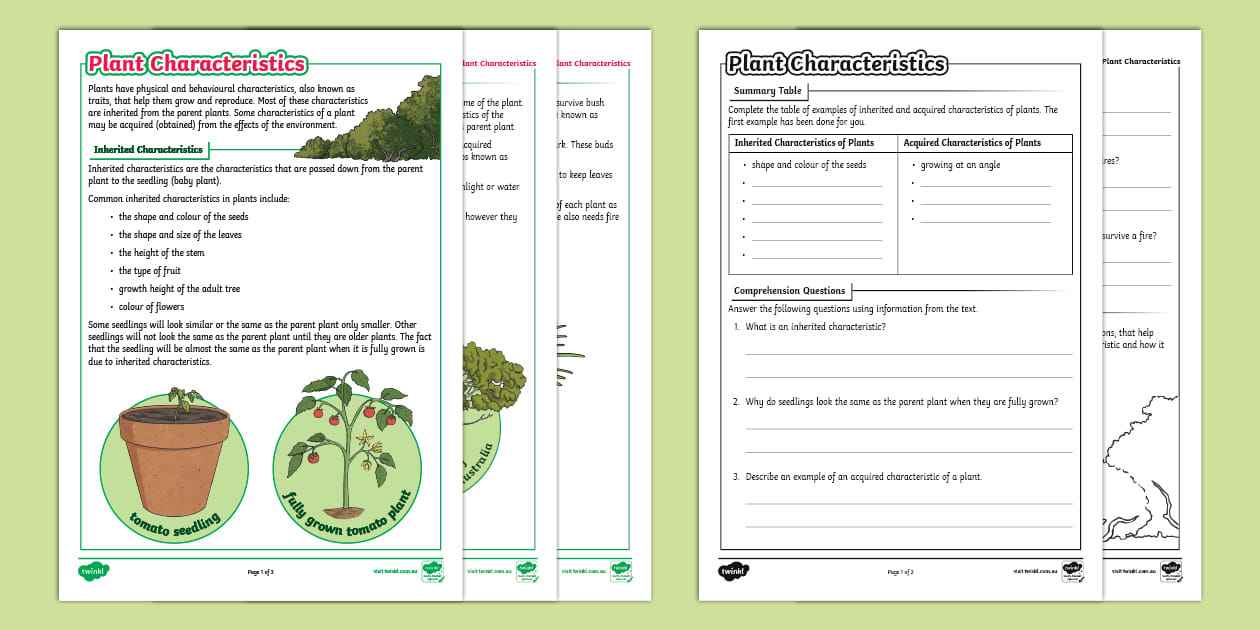 Plant Characteristics Reading Comprehension Worksheet