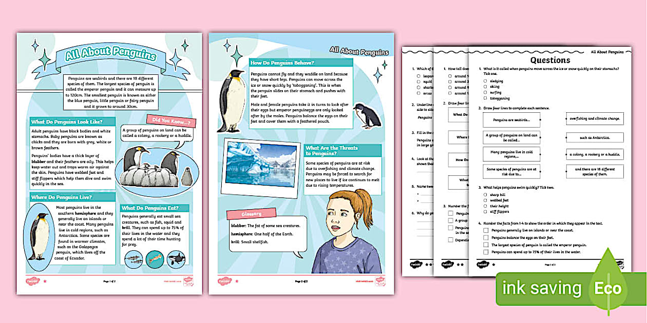 LKS2 All About Penguins Differentiated Reading Comprehension