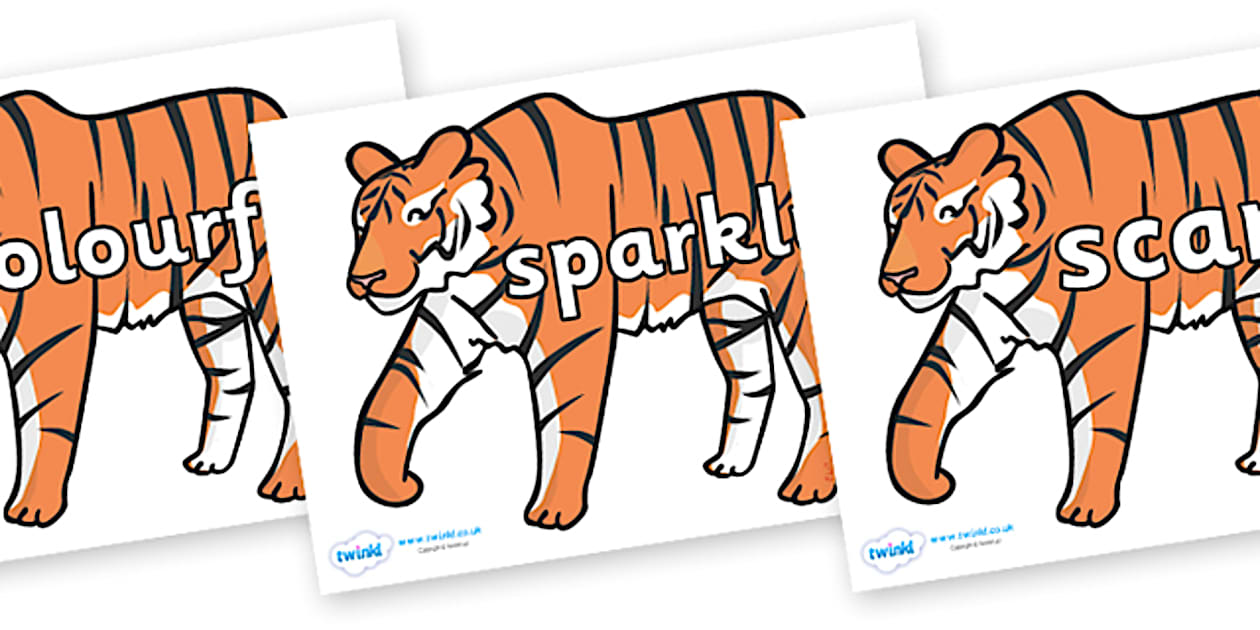 Wow Words on Tigers (teacher made) - Twinkl
