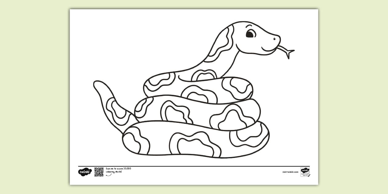 Snake Colouring Sheet | Colouring Sheets (teacher made)