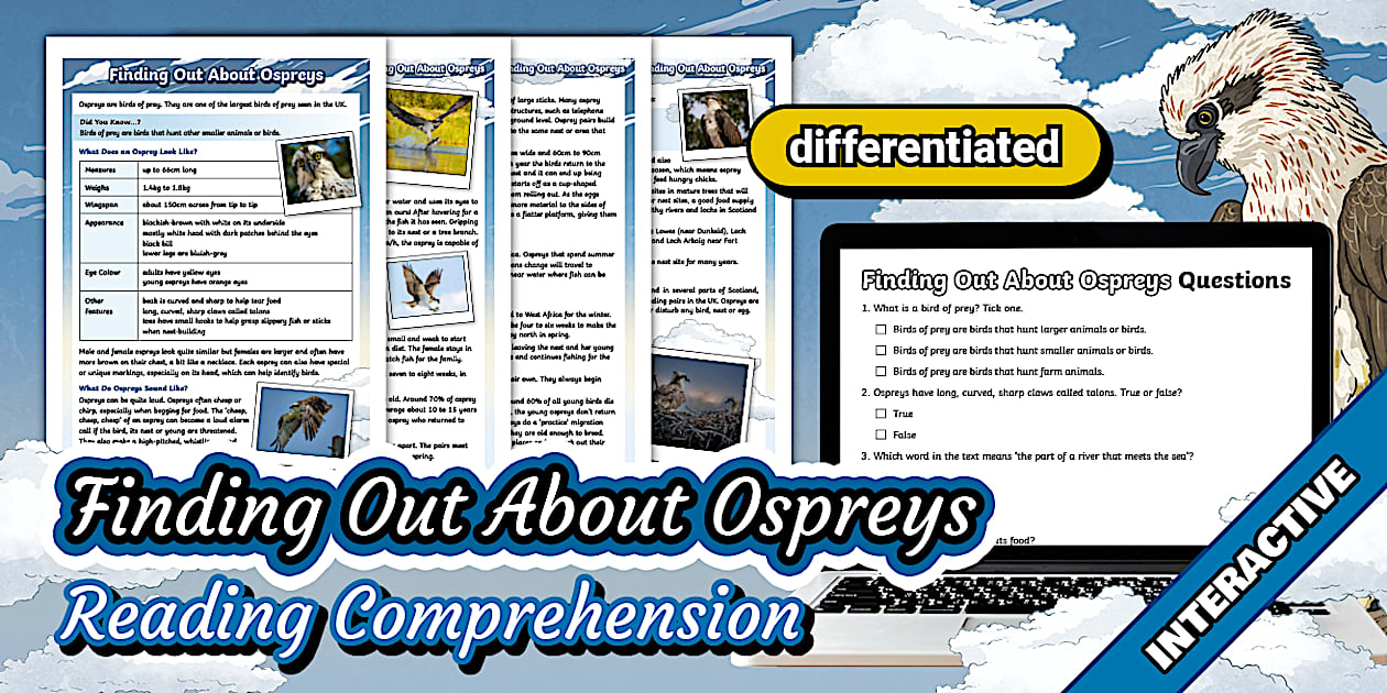 Interactive PDF Ospreys Differentiated Reading Comprehension