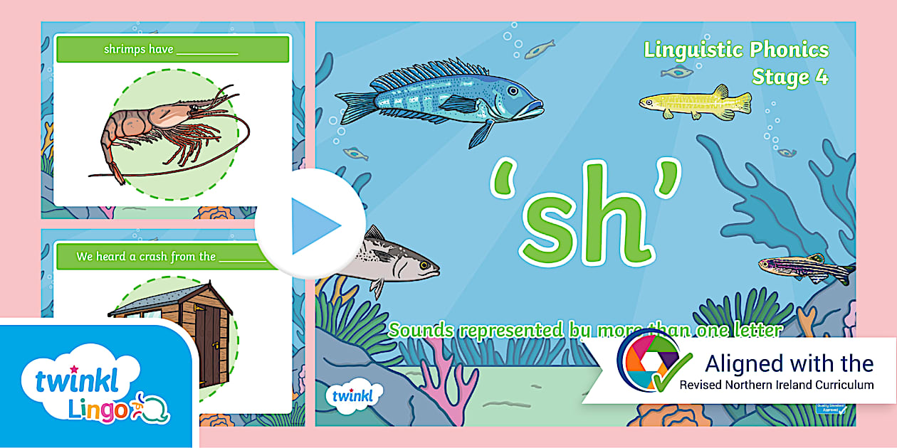 Linguistic Phonics Stage 4 'sh' PowerPoint (teacher made)