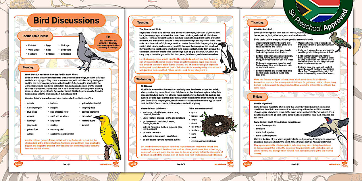 Birds: Morning Ring Discussion Sheets (teacher made)