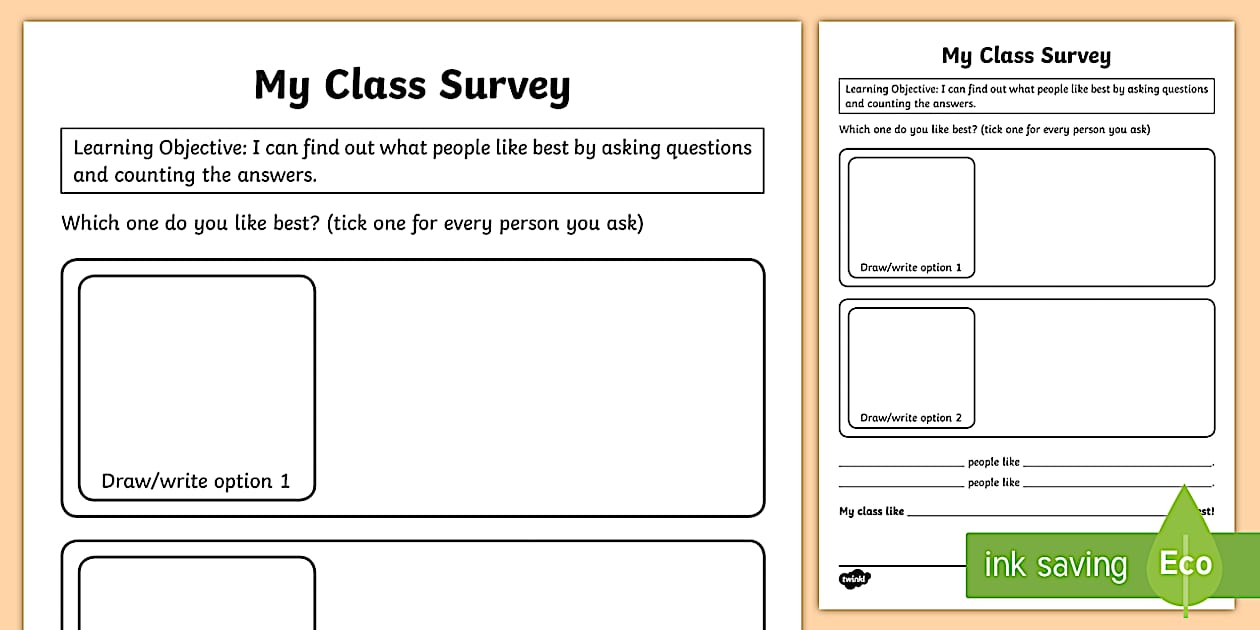 NSW My Class Survey Worksheet (teacher made) - Twinkl