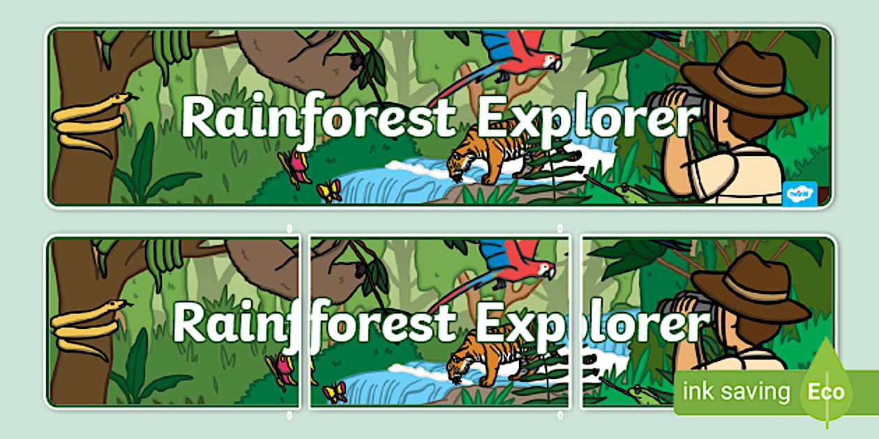 Rainforest Explorer Role Play Display Banner - Twinkl