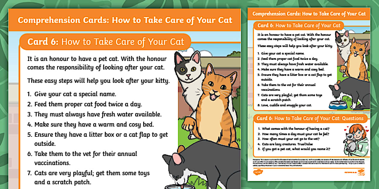 Comprehension Card: How to Take Care of Your Cat - Twinkl
