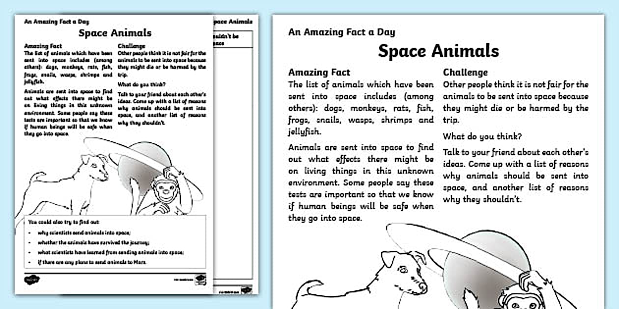 Space Animals Worksheet - Animals in Space KS2 - Twinkl
