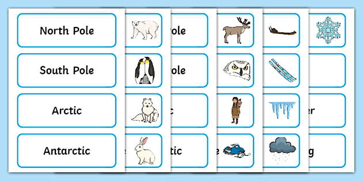 Polar Regions Word Cards (teacher made) - Twinkl
