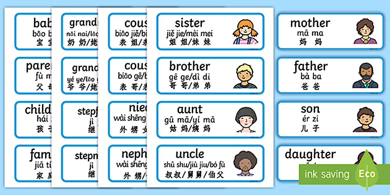 My Family Word Cards English/Mandarin Chinese/Pinyin - My Family Word Cards