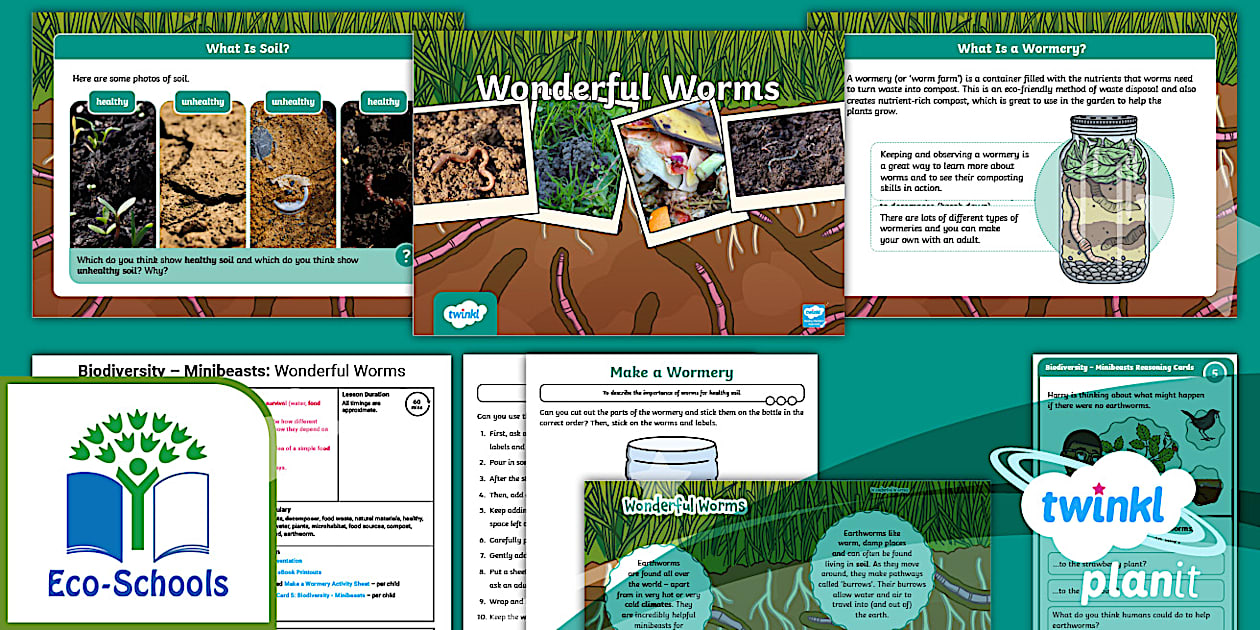 Science: Biodiversity - Minibeasts: Wonderful Worms Year 2 Lesson 5