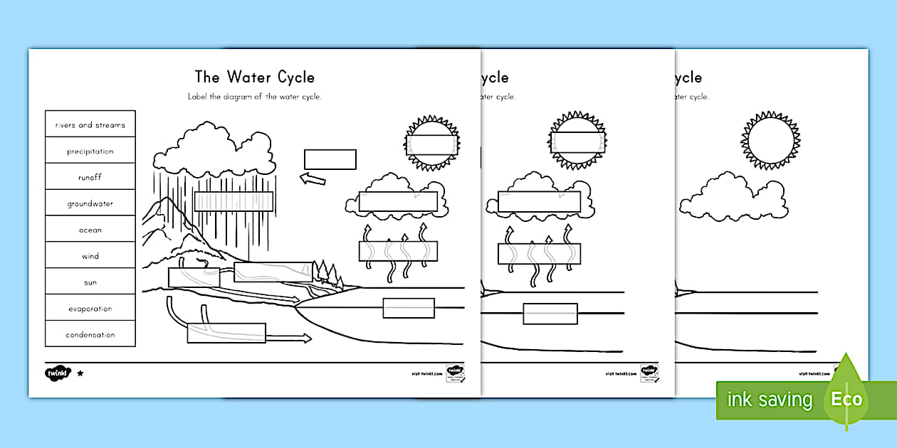 Editable The Water Cycle Differentiated Labeling Worksheet for K-2nd Grade
