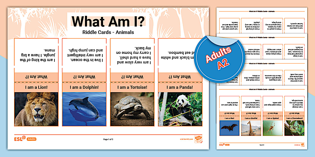 ESL What am I? Riddles (Teacher-Made) - Twinkl