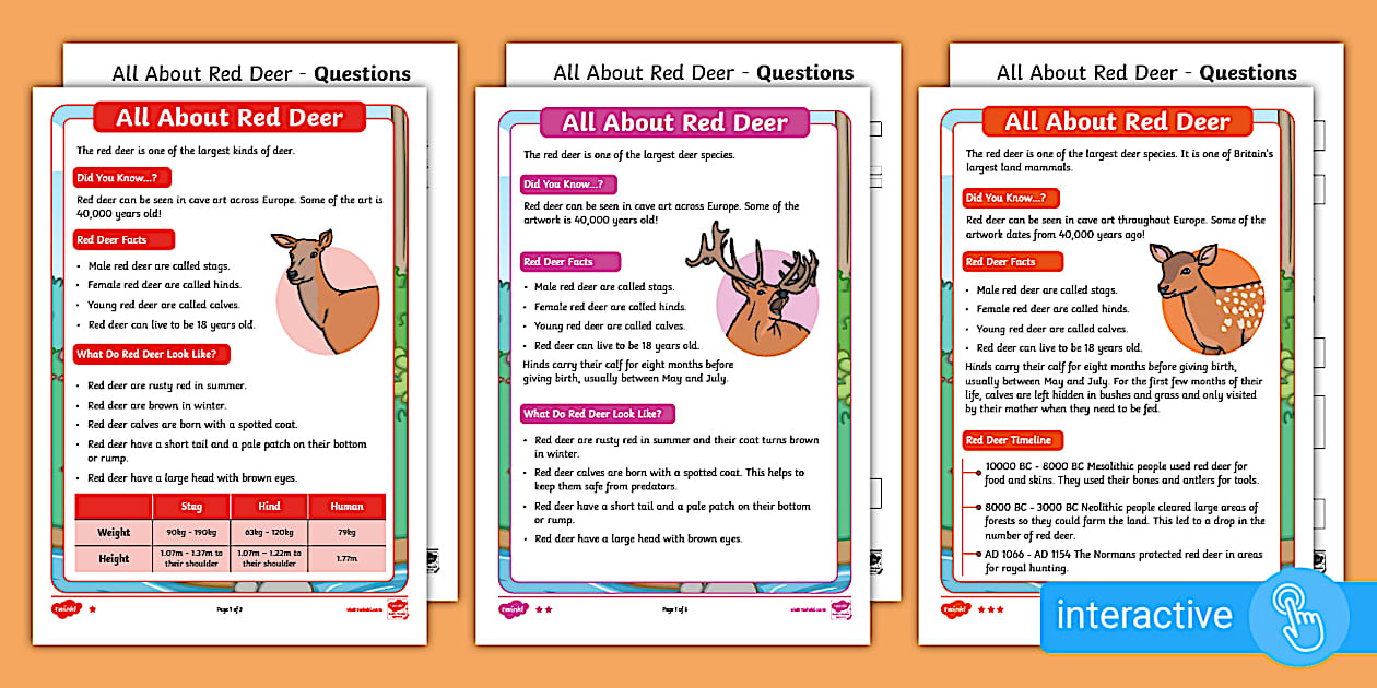 Interactive PDF: All About Red Deer Reading Comprehension