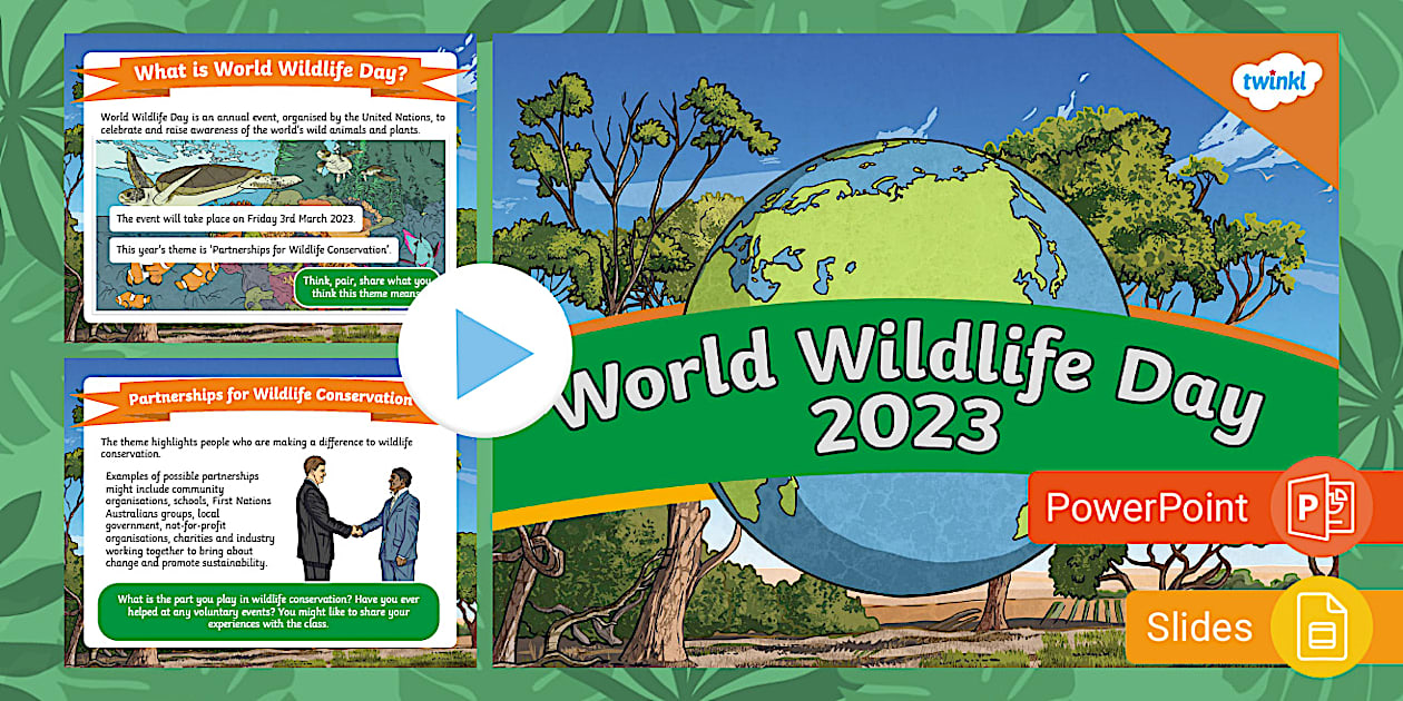 Wildlife Consertvation Presentation Years 3-6 (Teacher-Made)