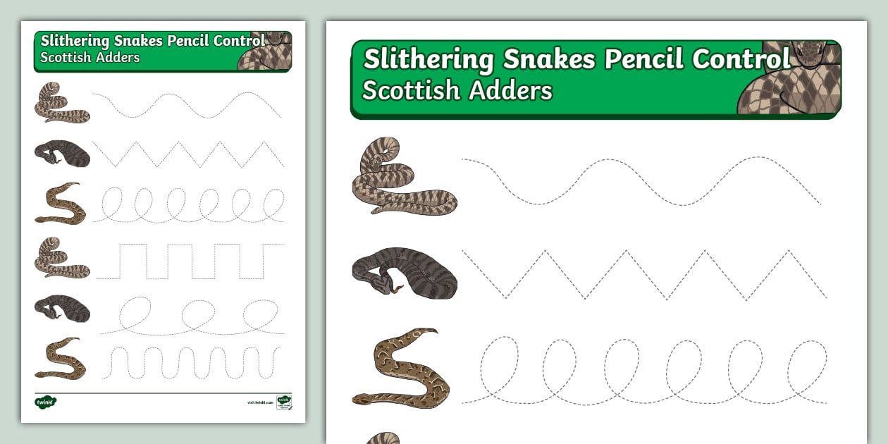 Snake-Themed Pencil Control Worksheet (teacher made)