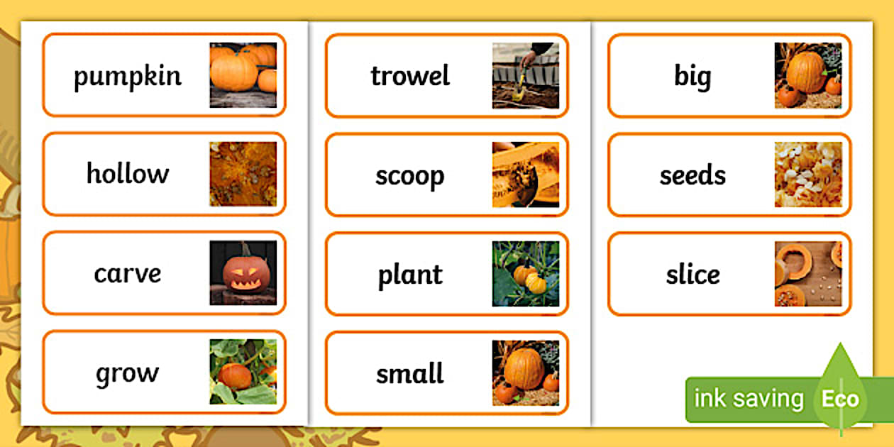EYFS Exploring Pumpkins Word Cards (teacher made) - Twinkl