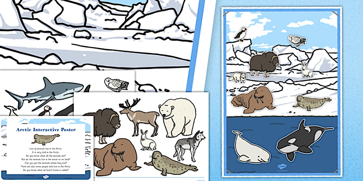 Arctic Sort EYFS Interactive Poster Plan and Resource Pack