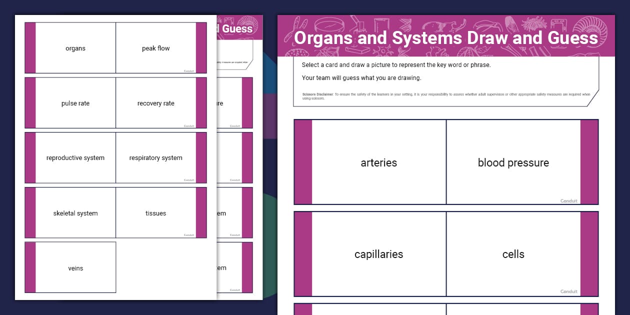 Organs and Systems: Draw and Guess (teacher made) - Twinkl