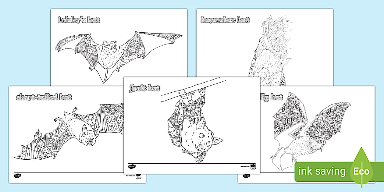 Bat Mindfulness Colouring Pages - Animals (Teacher-Made)