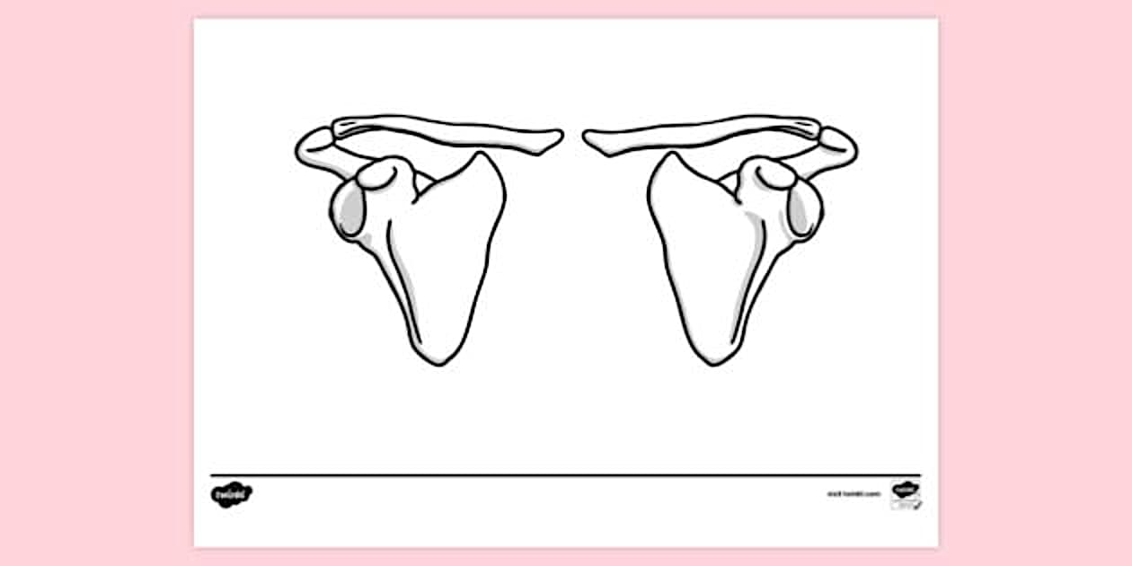 Collar Bones Colouring Sheet Copy | Colouring Sheets