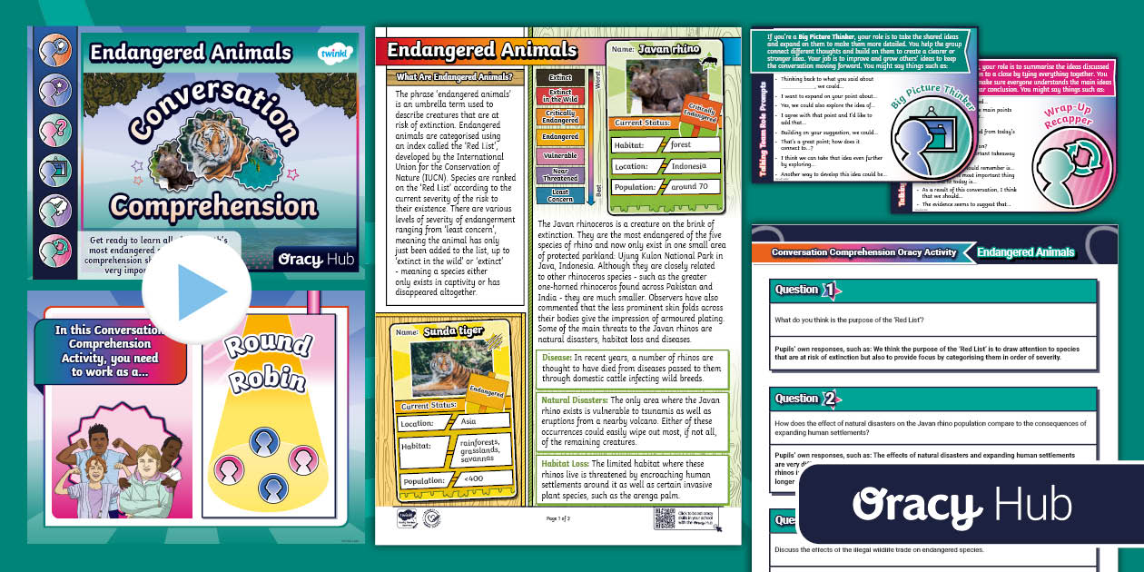 UKS2 Endangered Animals Conversation Comprehension Oracy Activity