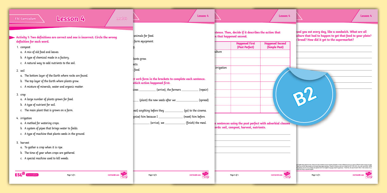 ESL Curriculum Level 14 Lesson 4 Activity Sheet