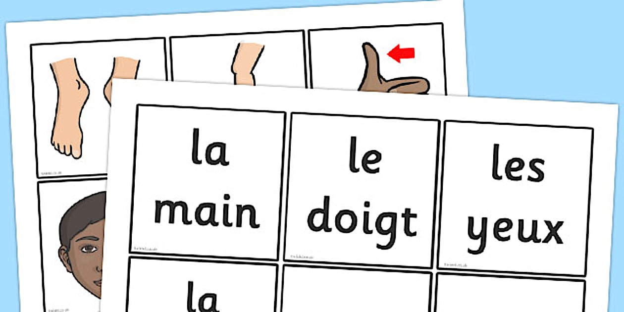 French Word and Picture Cards - Parts of the Body - Twinkl