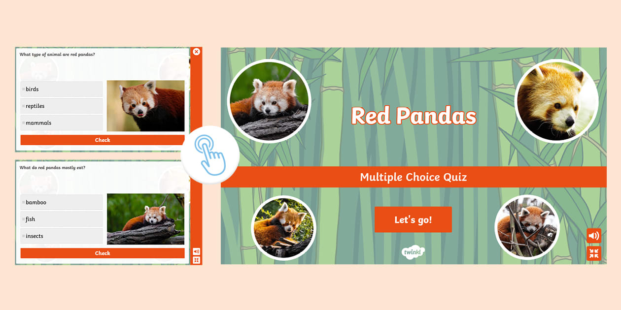 KS1 Red Pandas Interactive Quiz - KS1 (teacher made)