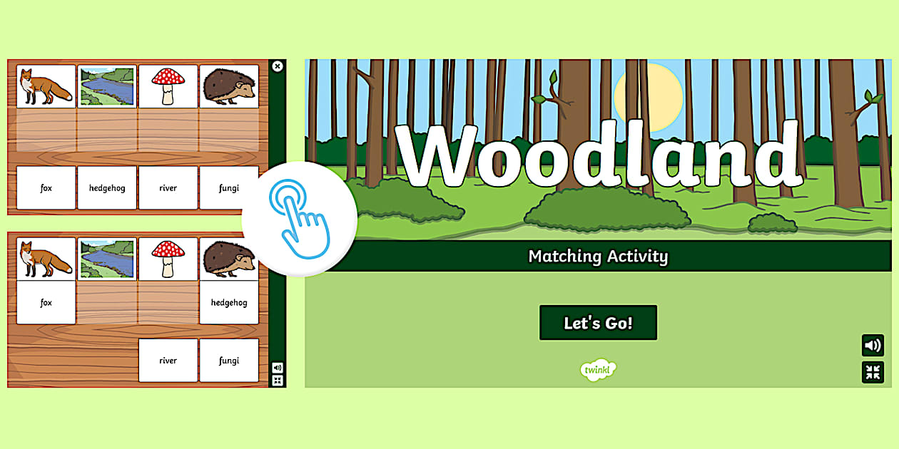 Interactive Woodland Matching Activity | Twinkl Go! - Twinkl