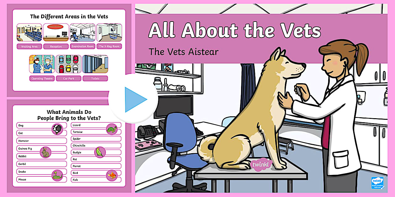 The Vets Aistear PowerPoint (teacher made) - Twinkl