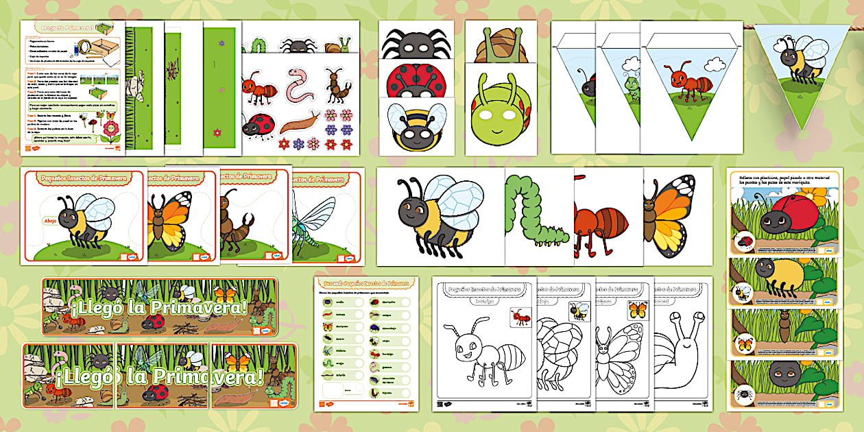 Pack: Pequeños Insectos de Primavera (teacher made)