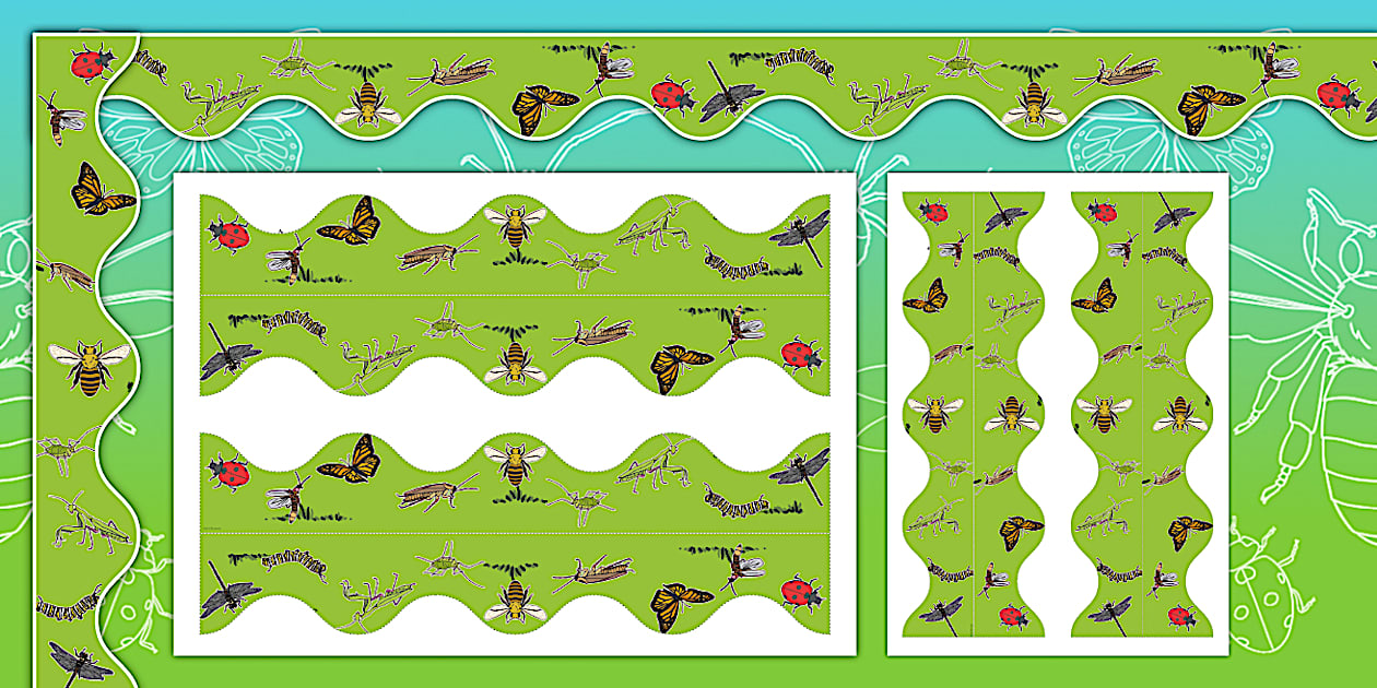 Insect Week Display Borders (teacher made) - Twinkl