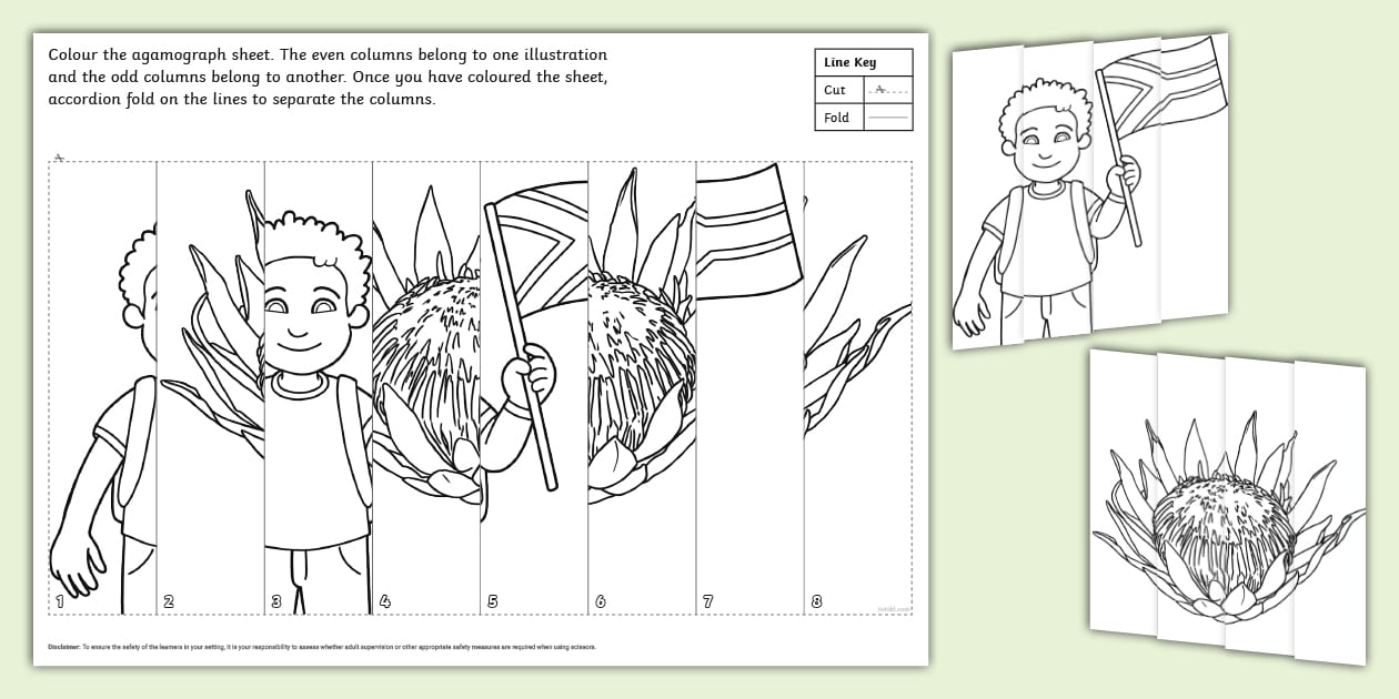 South Africa Day Agamograph (ティーチャーメイド)